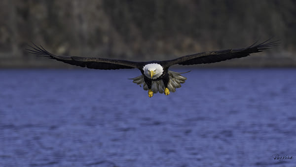 Determined_A1S0634- by Robert Kimbrell | 500px