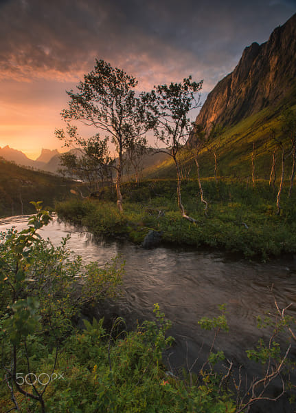 "WUTHERING HEIGHTS OF SENJA" Monica So Landscape Photography by Monica ...