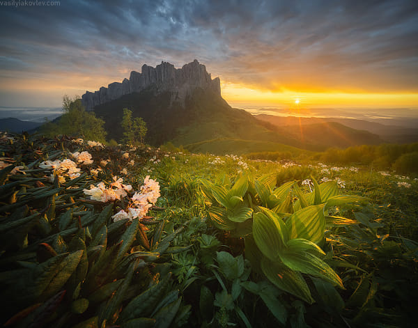 the house between 2 rocks by Michiel Pieters | 500px