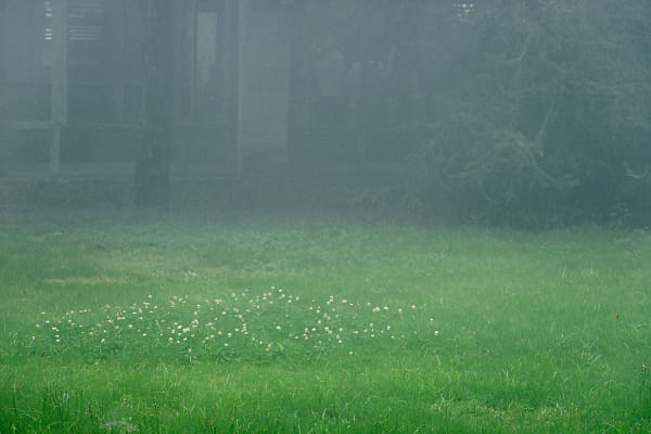 草色微湿 | Damp Green Stillness by 陆 还生 | 500px