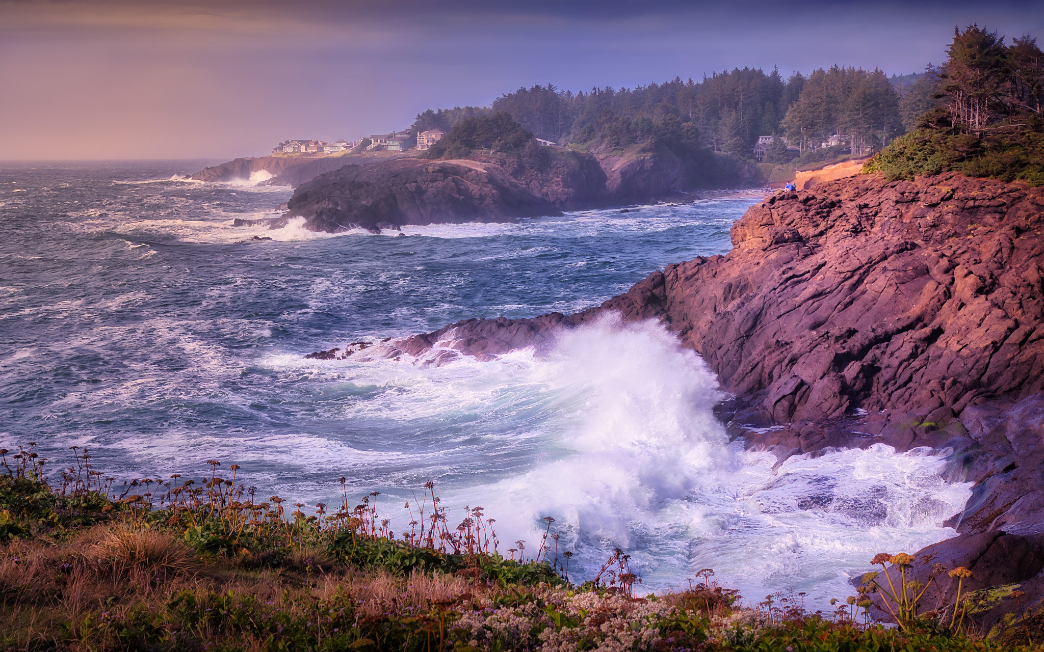 Coastal Oregon by Randy Wayman | 500px
