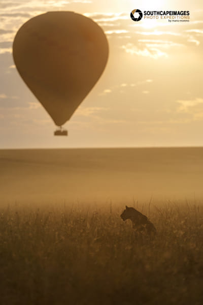 The question mark by Andy | 500px