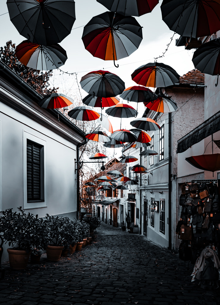 Colorful Umbrellas Hanging Over Cobblestone Street | city photo by ...
