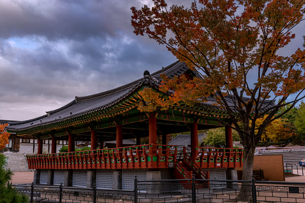 Vasile-Simion Sularea's Photos & Galleries | 500px