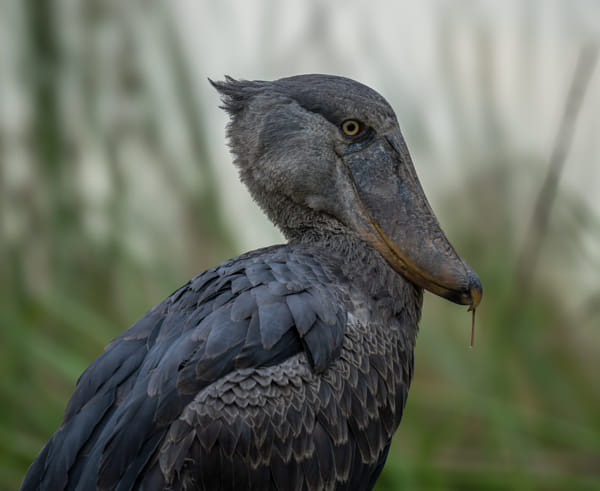 The run by Stefano Ronchi | 500px
