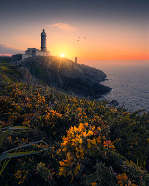 Lighthouse on Cliff at Sunset with Golden Light | landscape photo by ...