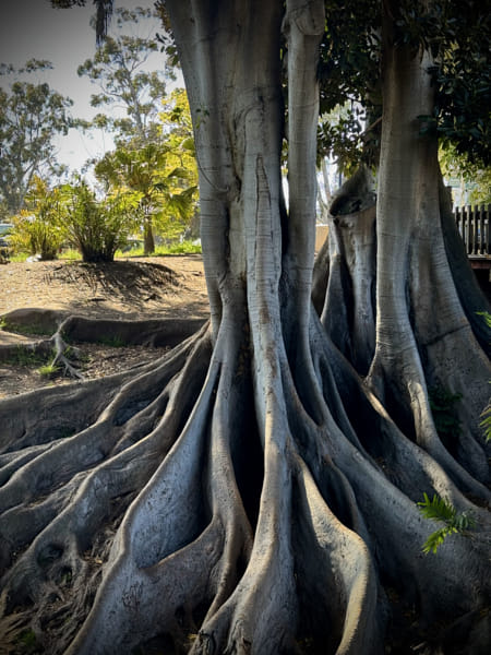 DEFINITION by Beto delPaso | 500px