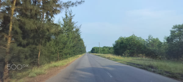 batfox by Dmitry Samsonov | 500px