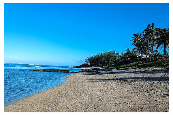 Tropical Beach with Palm Trees and Clear Blue Water | landscape photo ...
