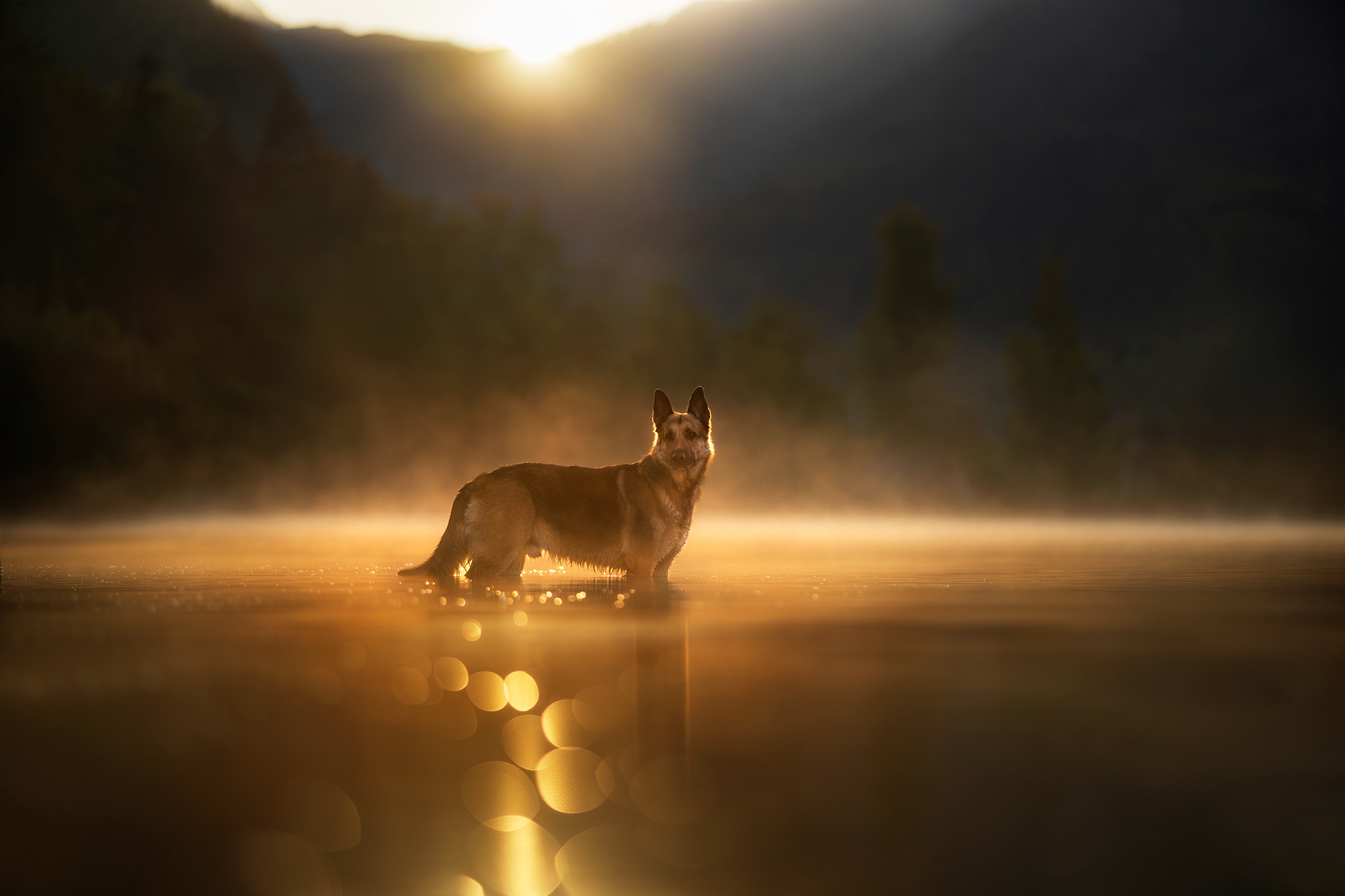 Between light and shades. by Anne Geier | 500px
