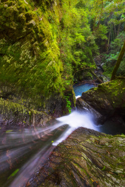 Lush Green Canyon with Cascading Waterfall | landscape photo by Dylan ...