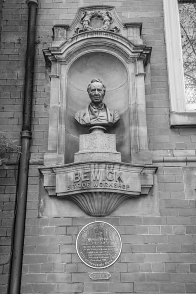 Thomas Bewick by Damien Talbot | 500px