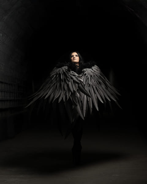 Beautiful woman with black feathered wings posing in a dark hallway by ...