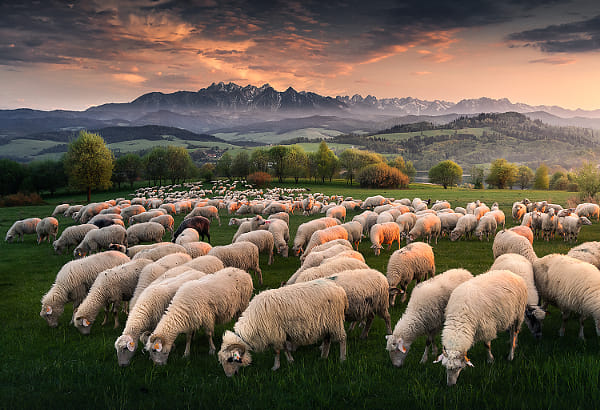 Midnight Run by Todd Wall | 500px