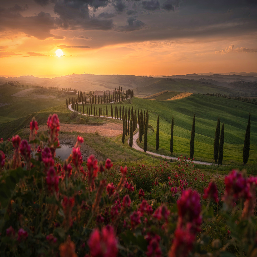 Tuscan Sunset by Philip Slotte | 500px