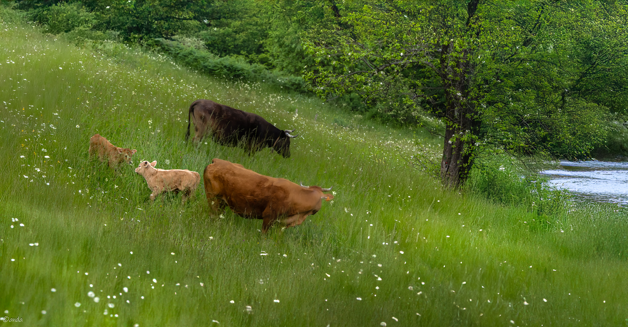spring rush by ángel diaz | 500px
