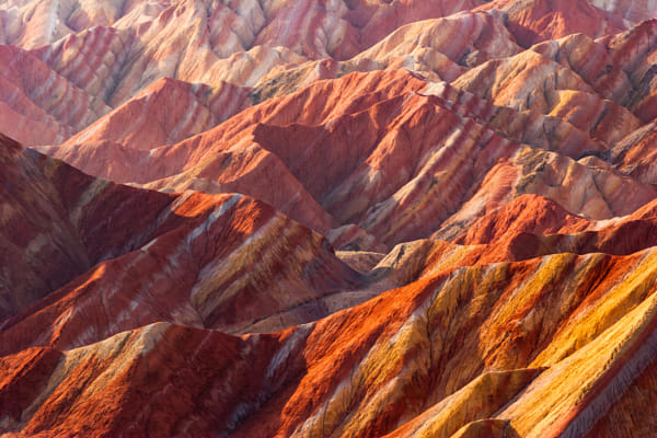 Gold Rush by Peter Coskun Nature Photography | 500px
