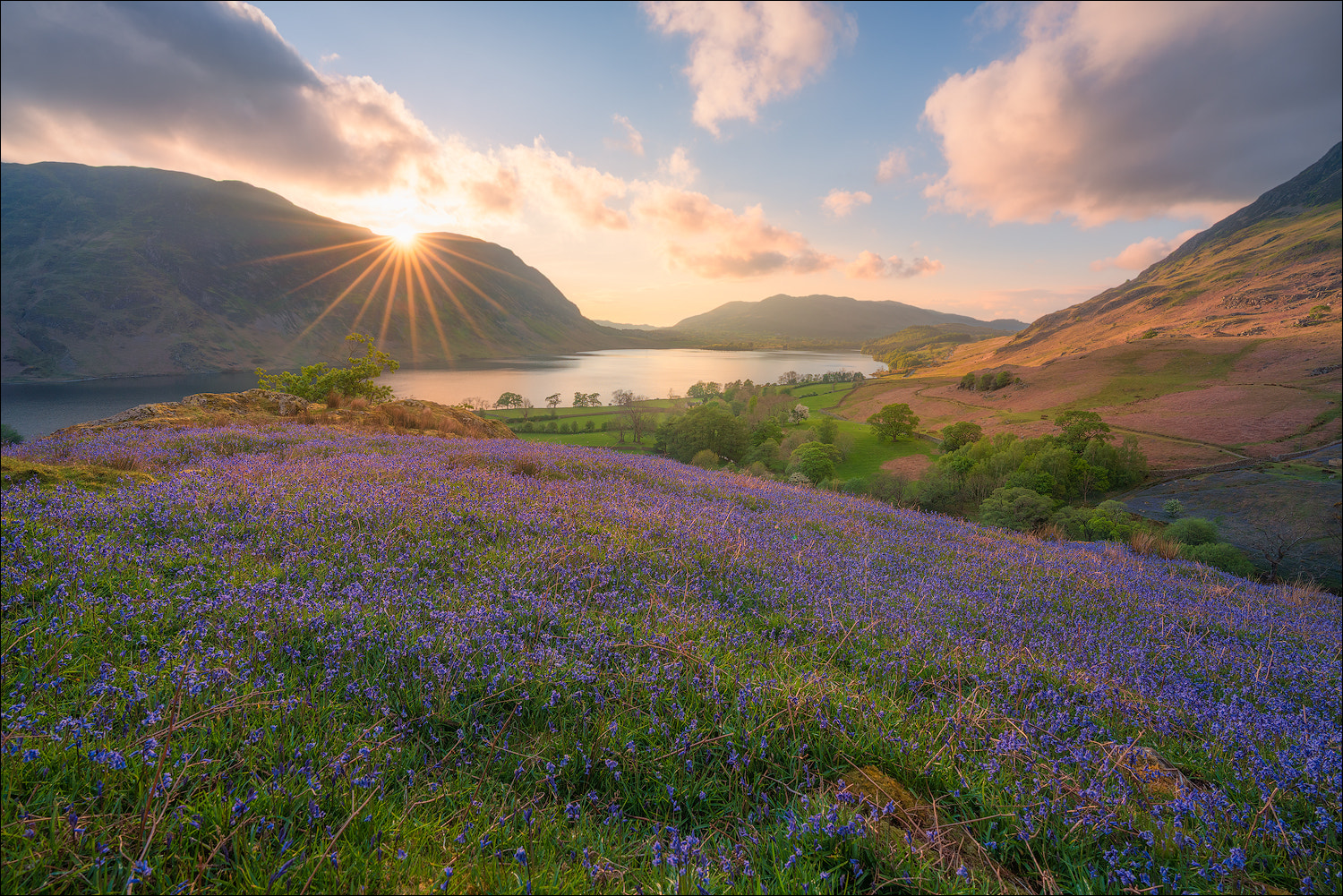 Anywhere Out Of That Society | Blue Bell Knoll by Gaël Caro | 500px