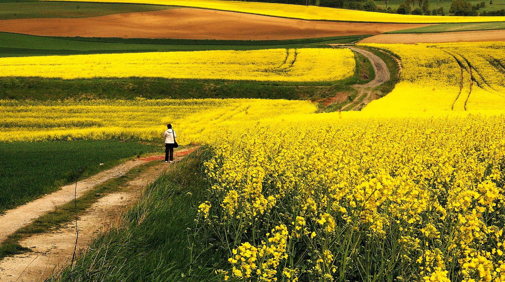 plein champ by nicole boxberger | 500px