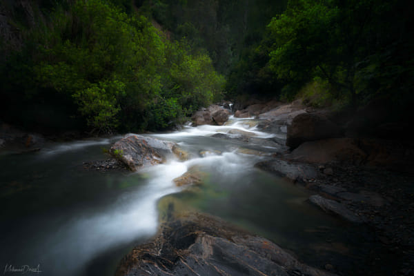 Nature amazes us by Magic Med | 500px