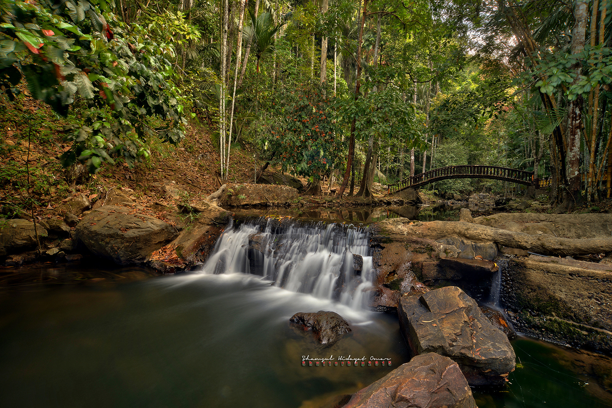 Rimba Rekreasi Bukit Wang by Shamsul Hidayat Omar / 500px