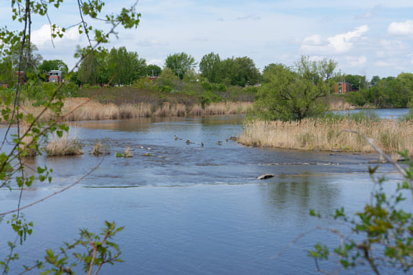 Nature connection with city by Jean-Luc Girard | 500px