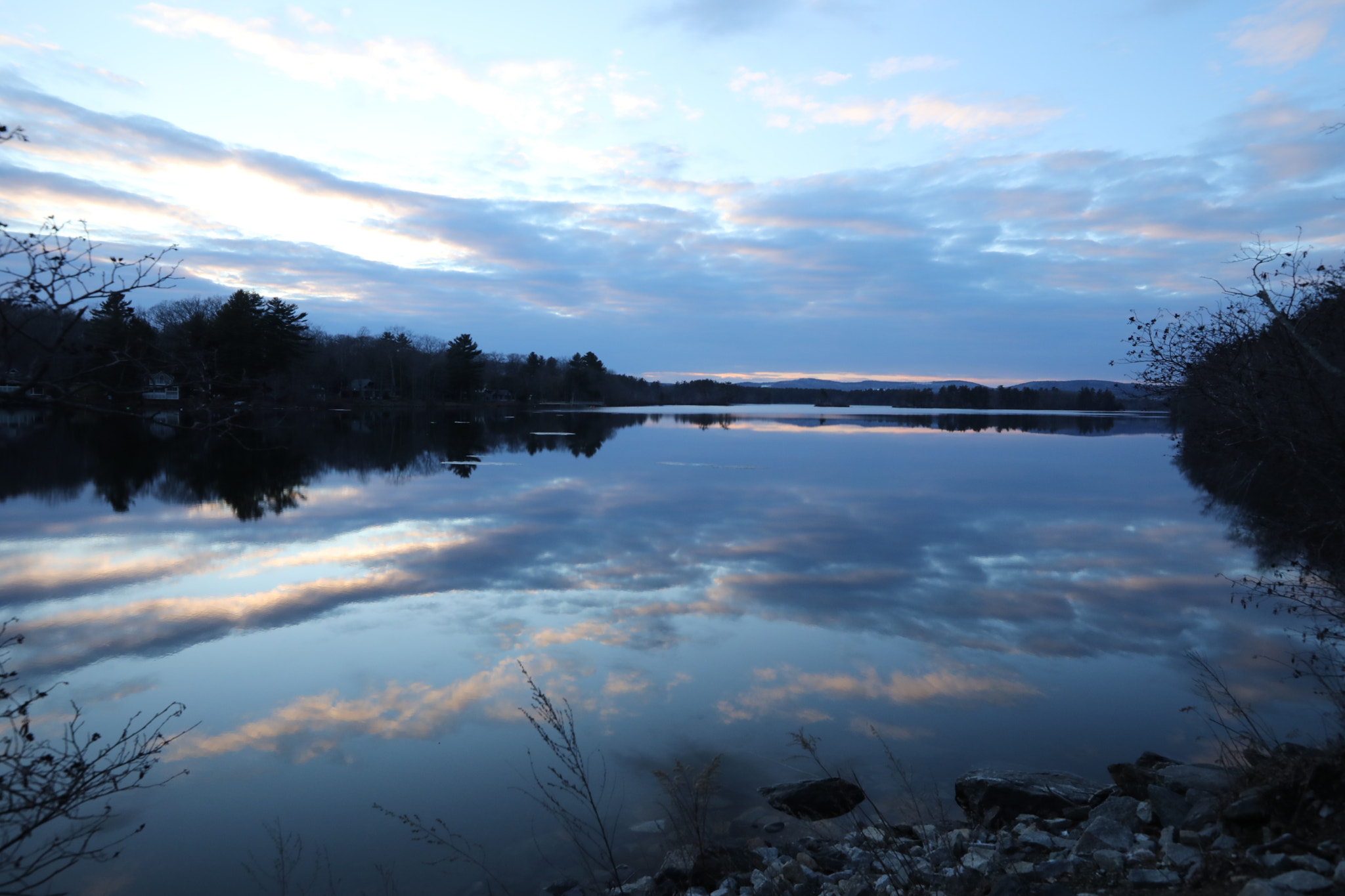 Red Squirrel Standing in Green Grass | nature photo by Linda Edgecomb ...