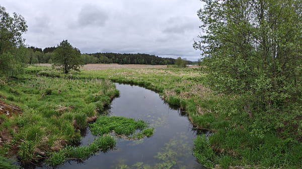 Riešės upė įteka į Gulbino ežerą / Riešė river flows into Gulbinas lake ...