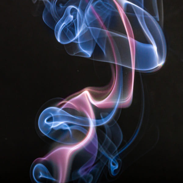 Intertwined! by Keith Dooley | 500px