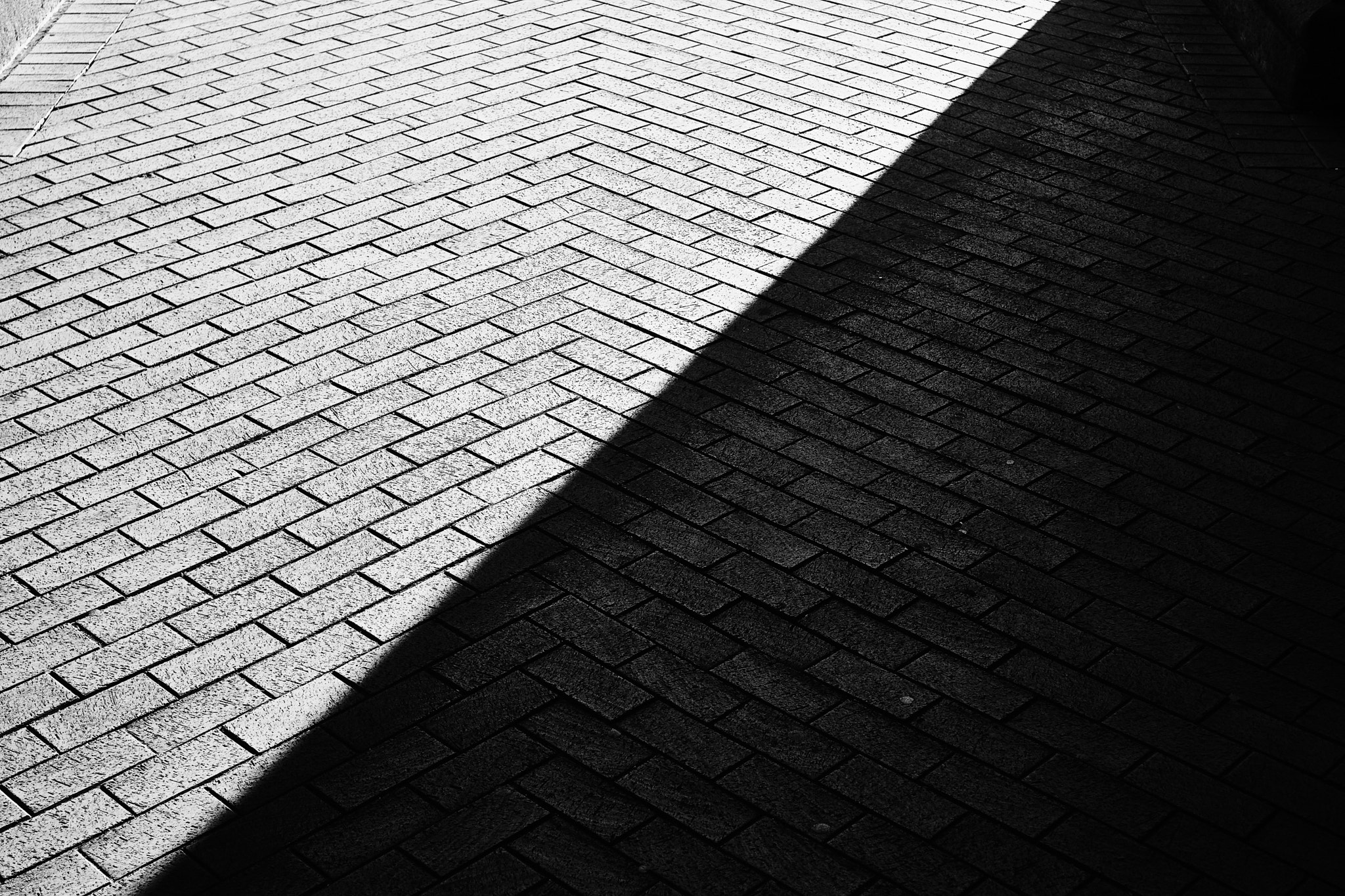 YOU AND ME by Dimitar Bakalov - DiMi DB'614 PHOTOGRAPHY | 500px