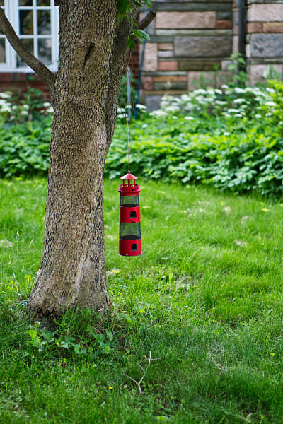 DSC02151 by David | 500px