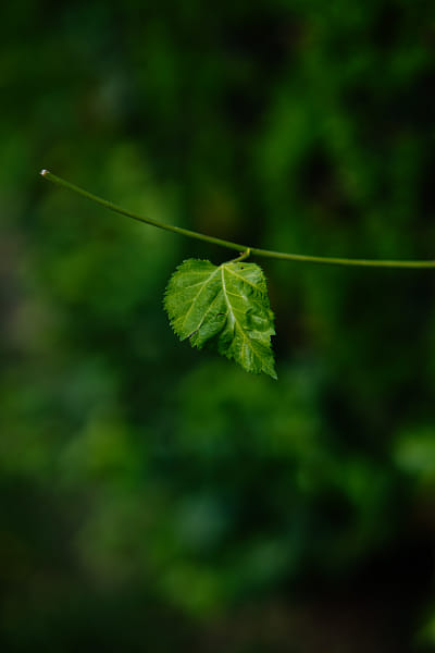 DSC02162 by David | 500px