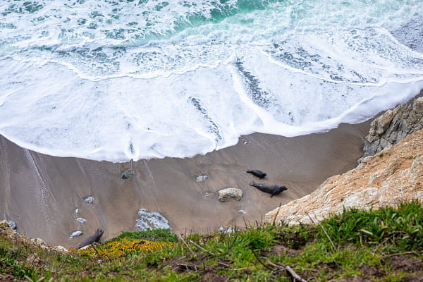 故宫西北角楼 Forbidden City by Harrison Zhao | 500px