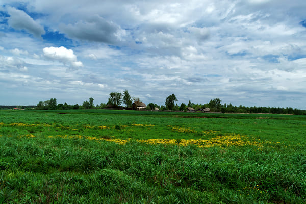 Scenic view of field against sky by Andrei Bulatov | 500px