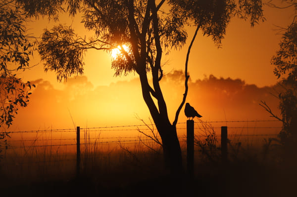 Morning Attention! by Bruce Prothero | 500px