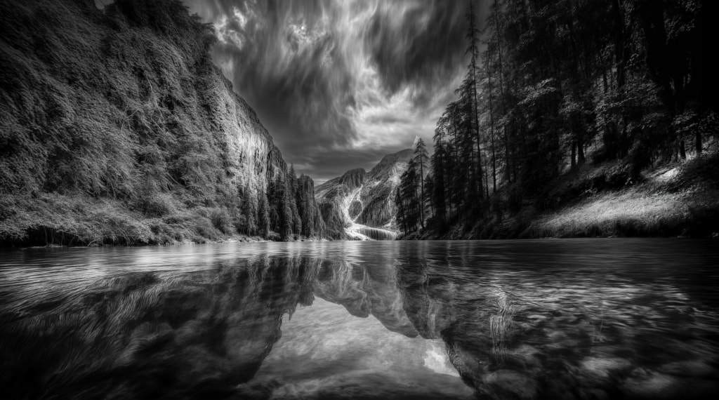 fine_art reference by A. Yukming Yuen | 500px