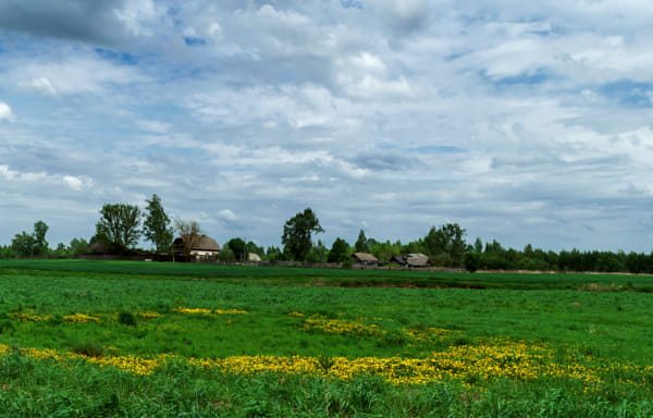 Scenic view of field against sky by Andrei Bulatov | 500px