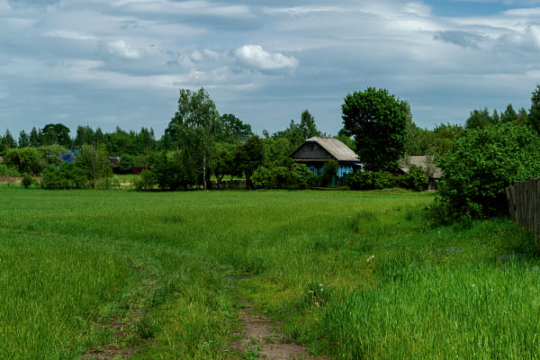 Trees on field against sky by Andrei Bulatov | 500px