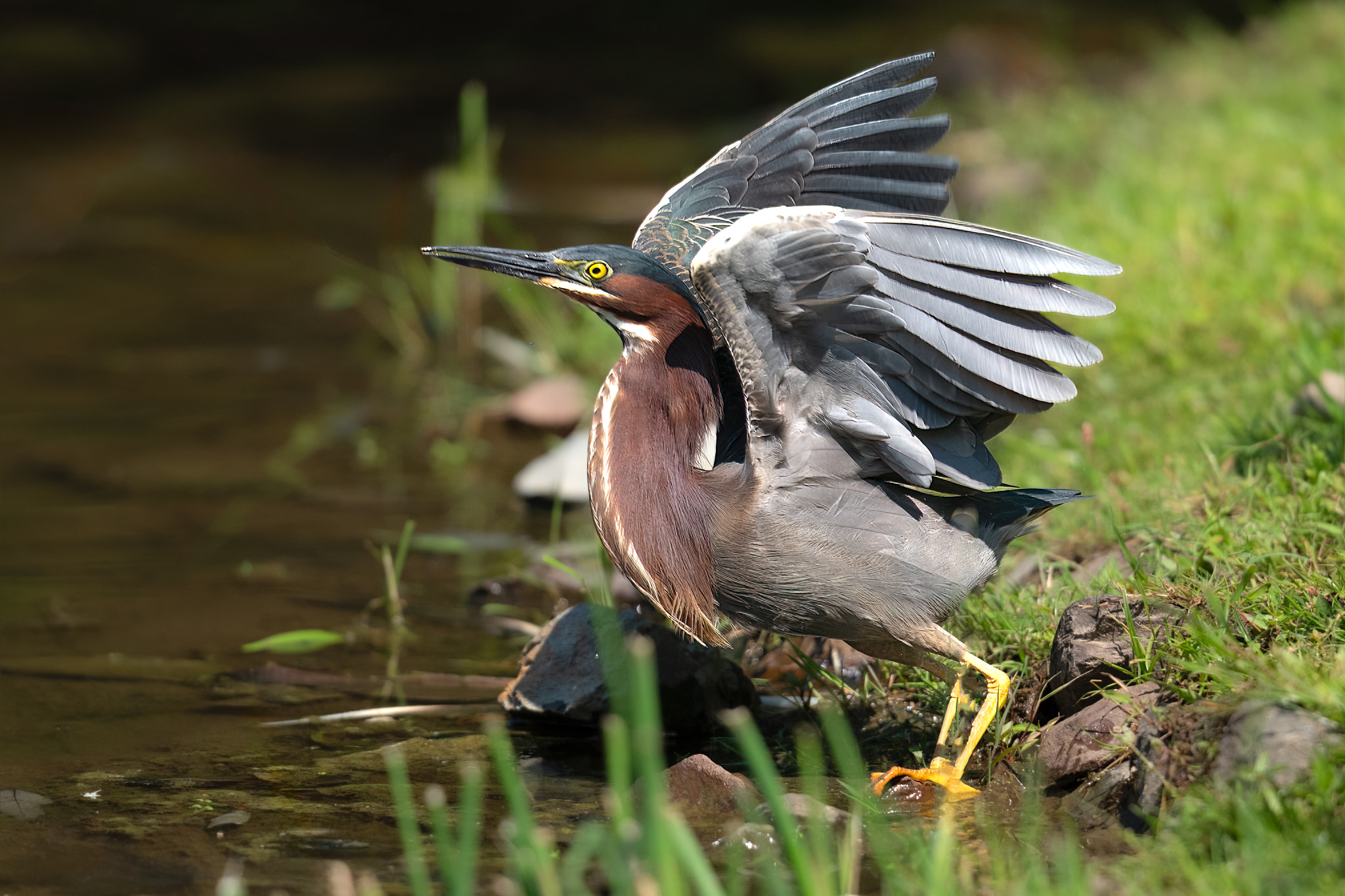 To Infinity and Beyond by Dennis Bartsch | 500px