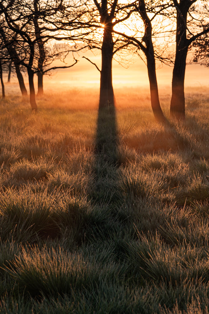 Shadow softness by Edwin Wiskerke | 500px