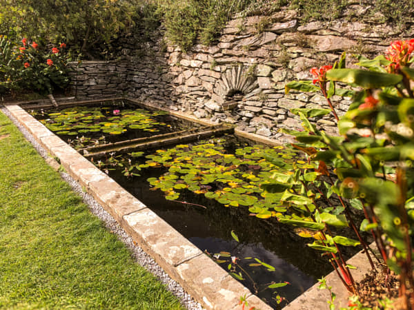 Macro-Focused View of a Nature Combo Of Lily Pond & Structure." by ...