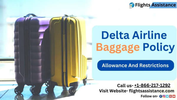 Delta Checked Baggage Policy Explained: Fees, Size, and Weight Limits ...