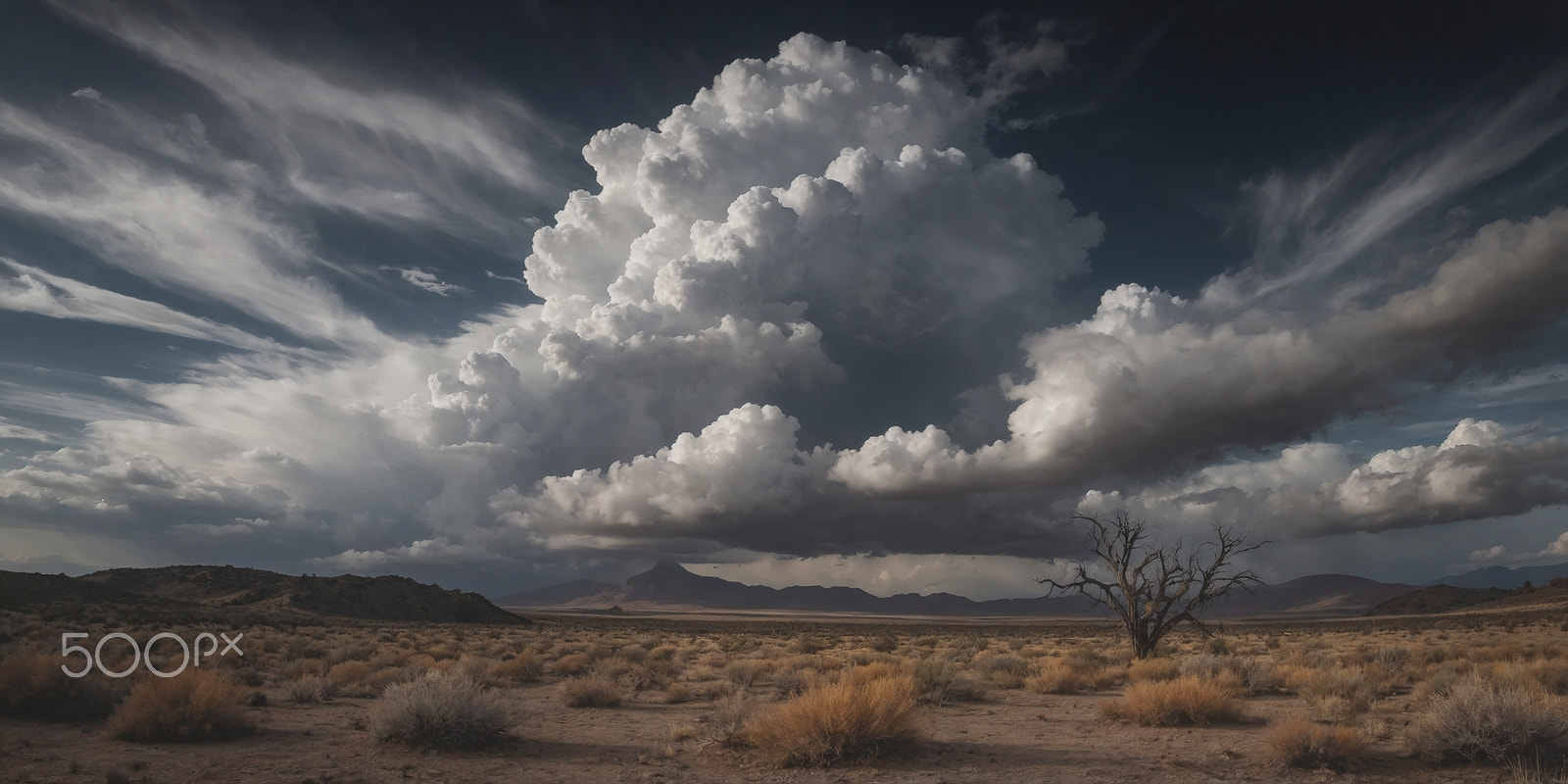 hope for rain by Rodolphe Tavernaro | 500px