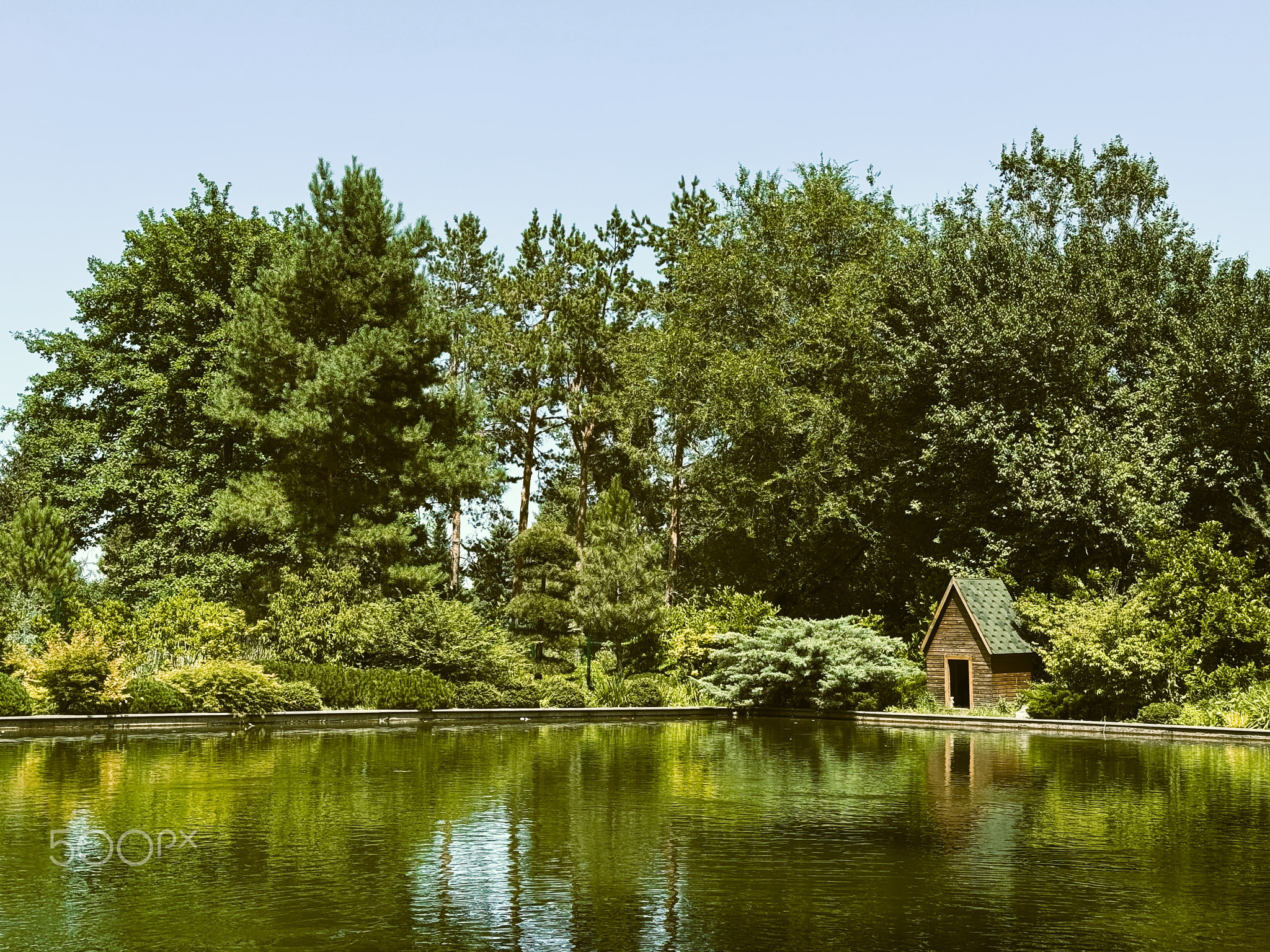 The Enchanted Pond by Anurag Mehta | 500px