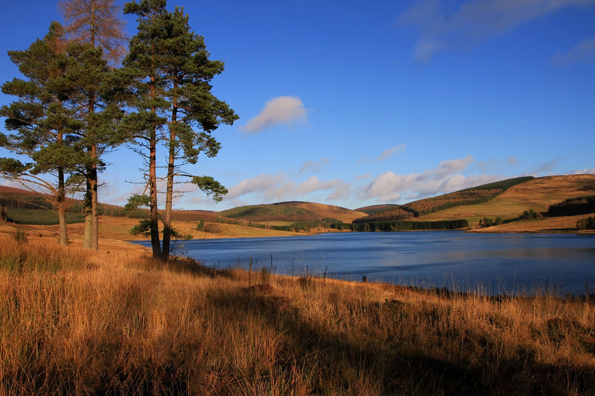 Over the Reservoir by Hilda Murray | 500px
