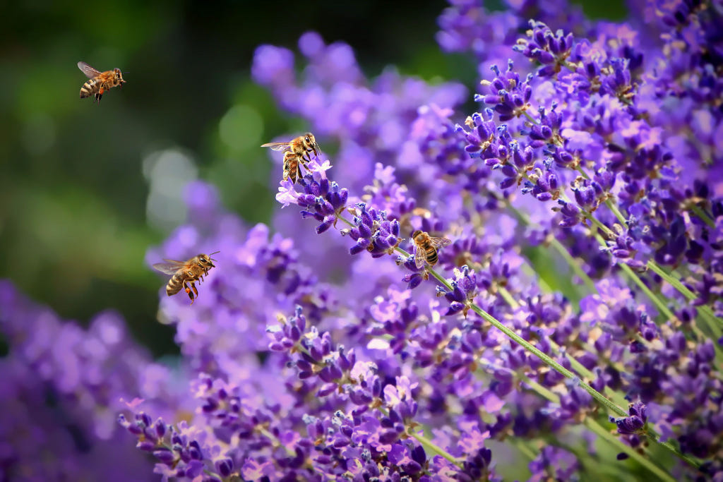Model girls of our town by Photo Boosty | 500px