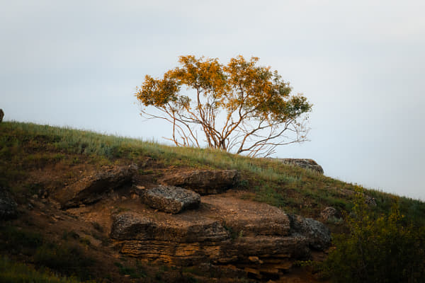 Shot on Canon EOS R5 Mark II by Mark Ulman | 500px
