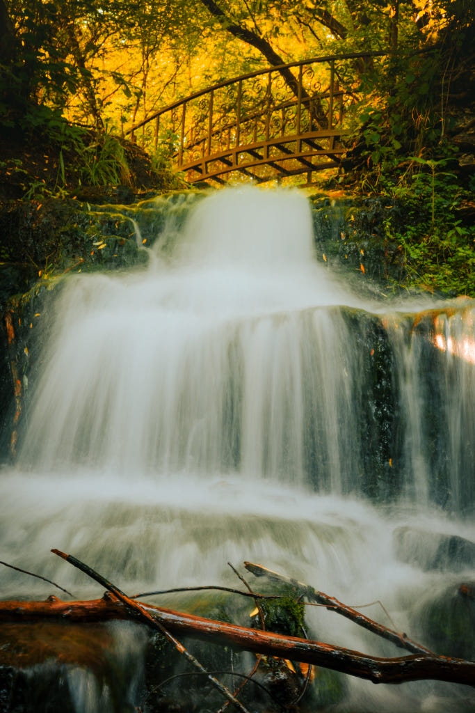 Shot on Canon EOS R5 Mark II by Mark Ulman | 500px