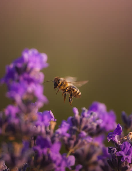 Shot on Canon EOS R5 Mark II by Mark Ulman | 500px