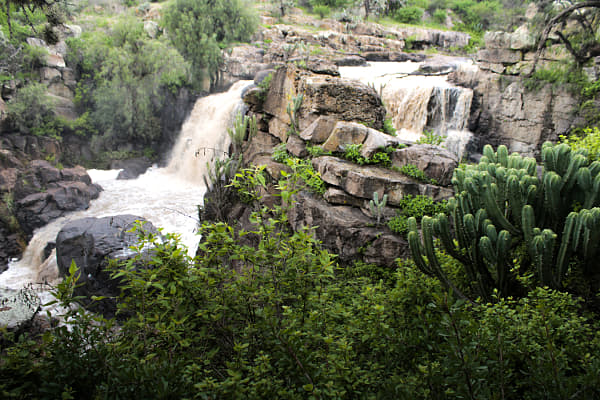 THE CREEK-series by Jorge Dorantes Gonzalez | 500px